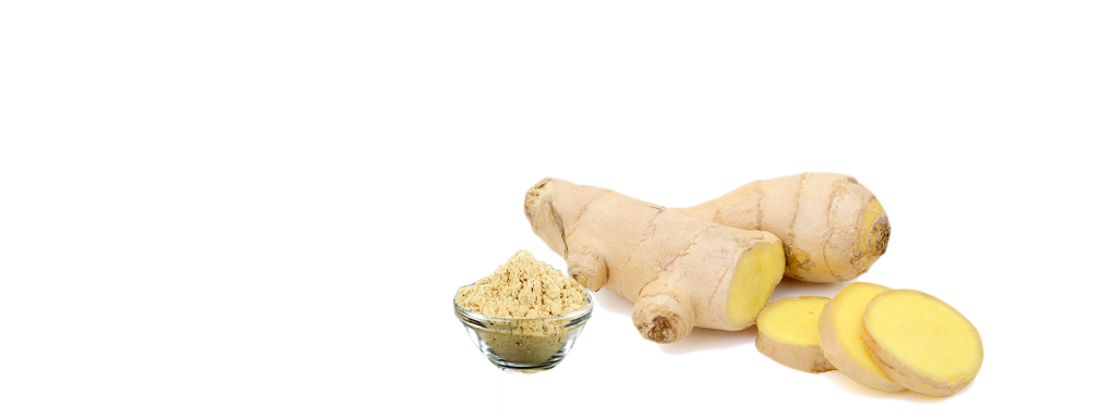 Antimetil | Een lichte maag, in alle omstandigheden